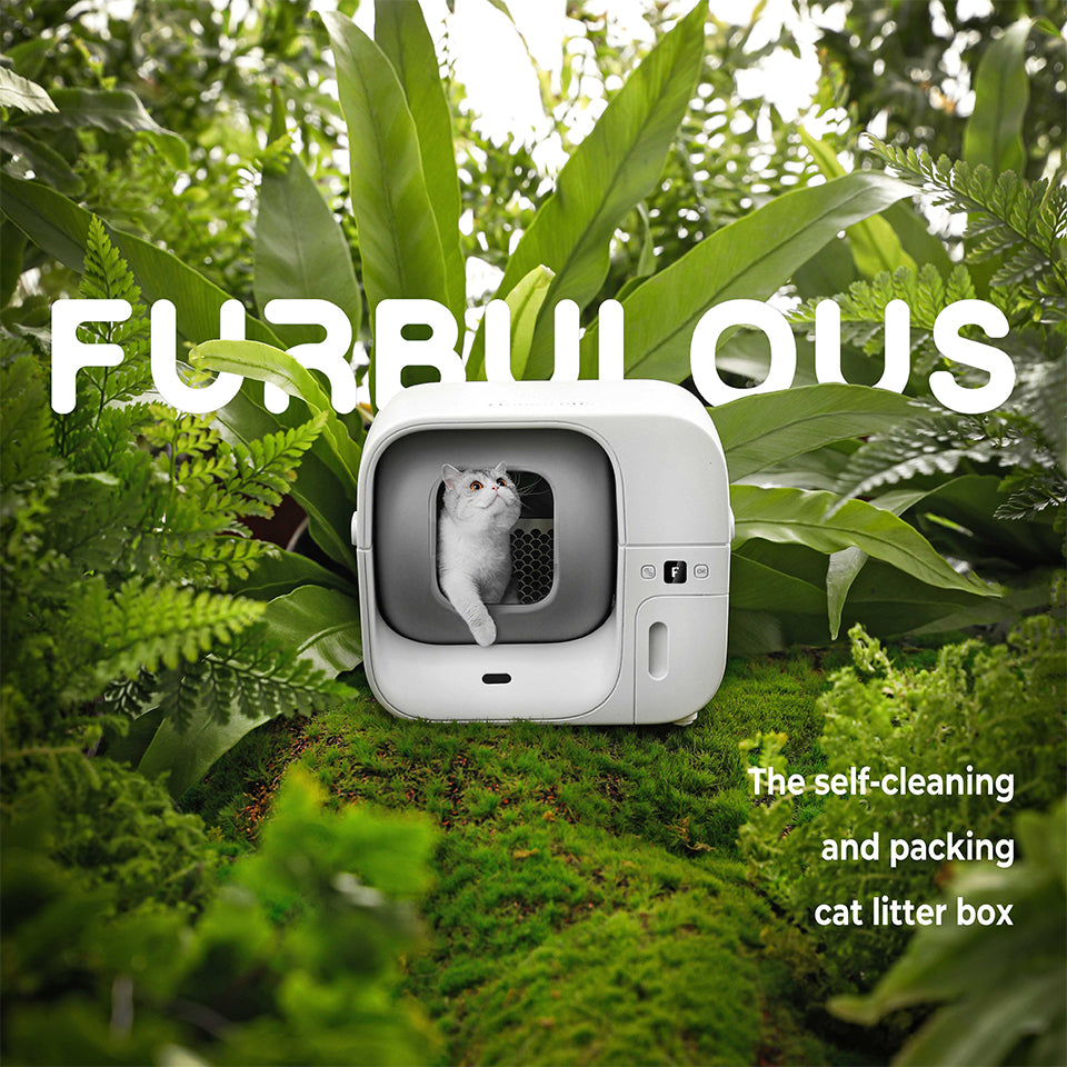 Furbulous Box Troubleshooting