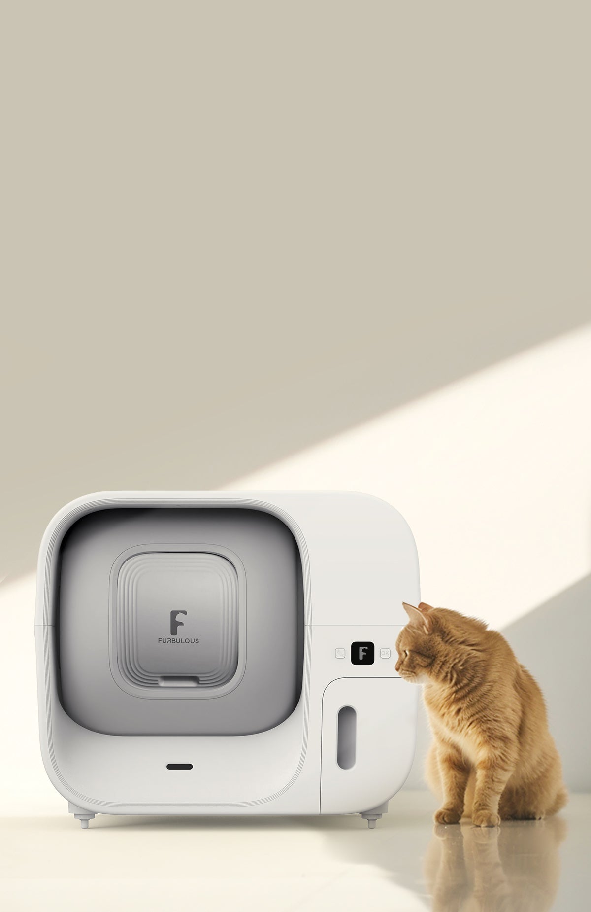 Furbulous | The Modern Way to Care for Your Pet!