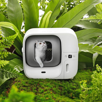 Furbulous | The Modern Way to Care for Your Pet!