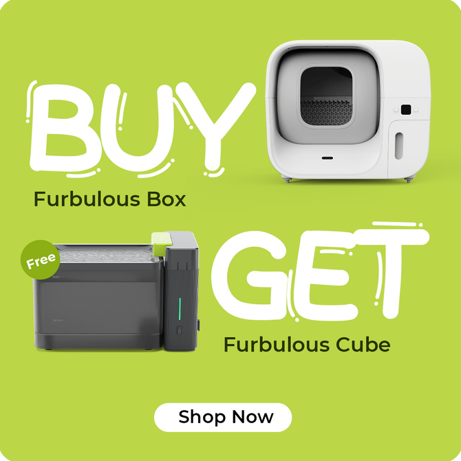 Furbulous | The Modern Way to Care for Your Pet!